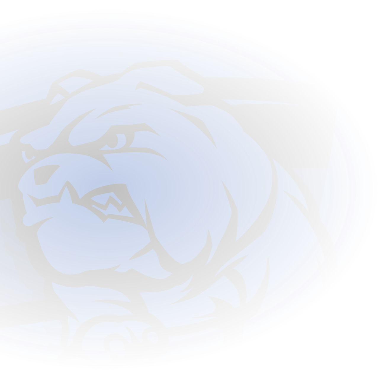 Official AFL Website of the Essendon Football Club