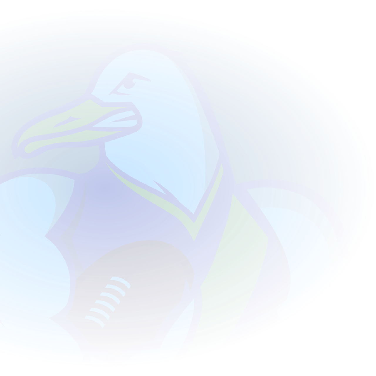 Official AFL Website of the Essendon Football Club