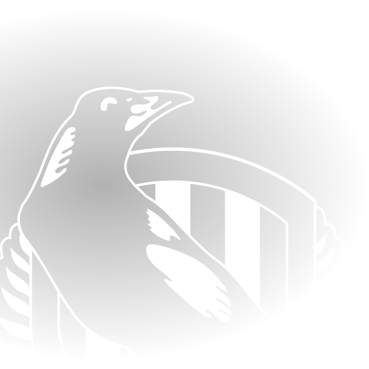Official AFL Website of the Essendon Football Club