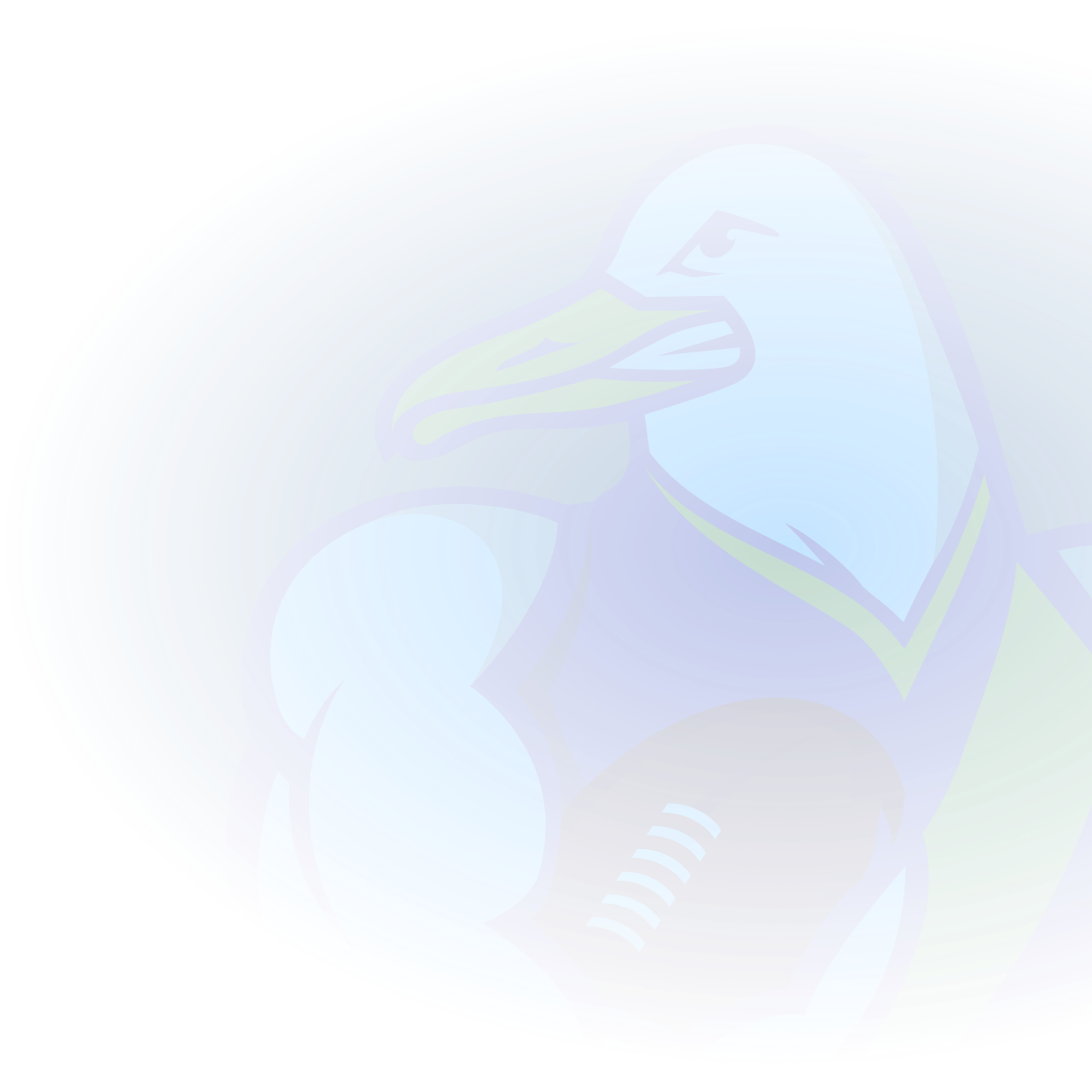 Official AFL Website of the Essendon Football Club