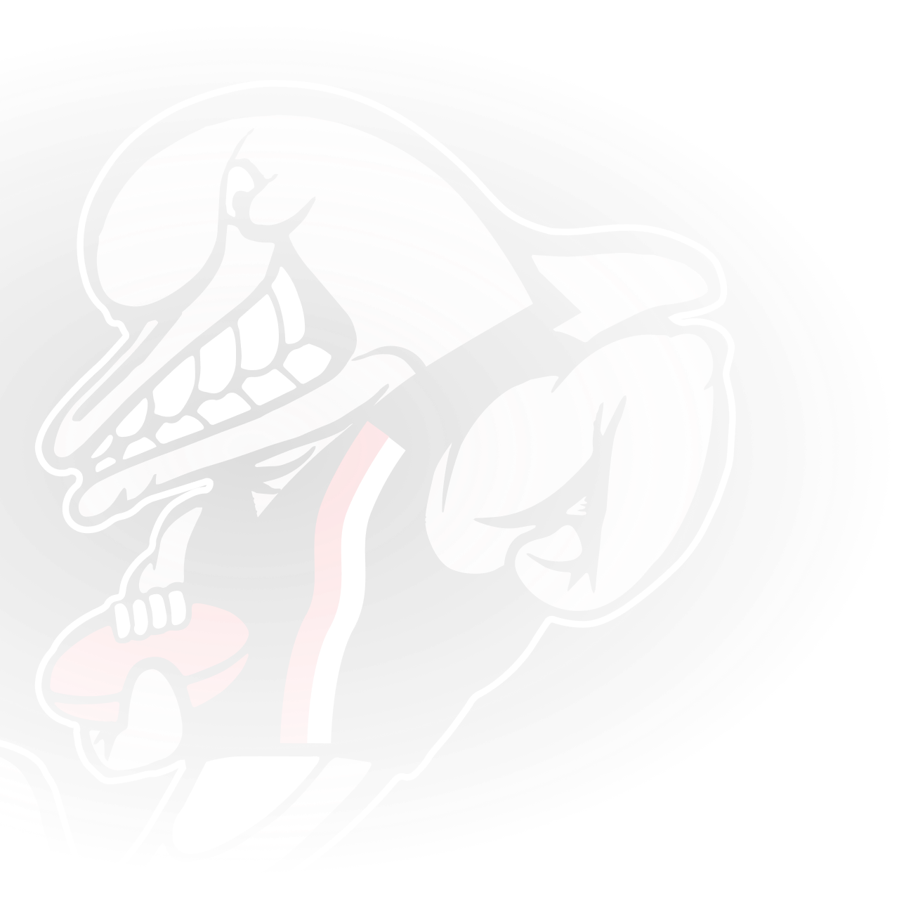 Official AFL Website of the Essendon Football Club